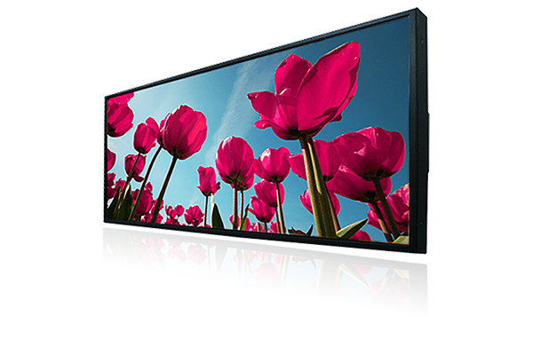 Low Power Resized LCD Display | Spanpixel 1722-A